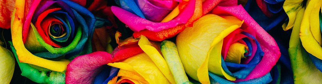 How to create a timeline on Sutori - Sutori