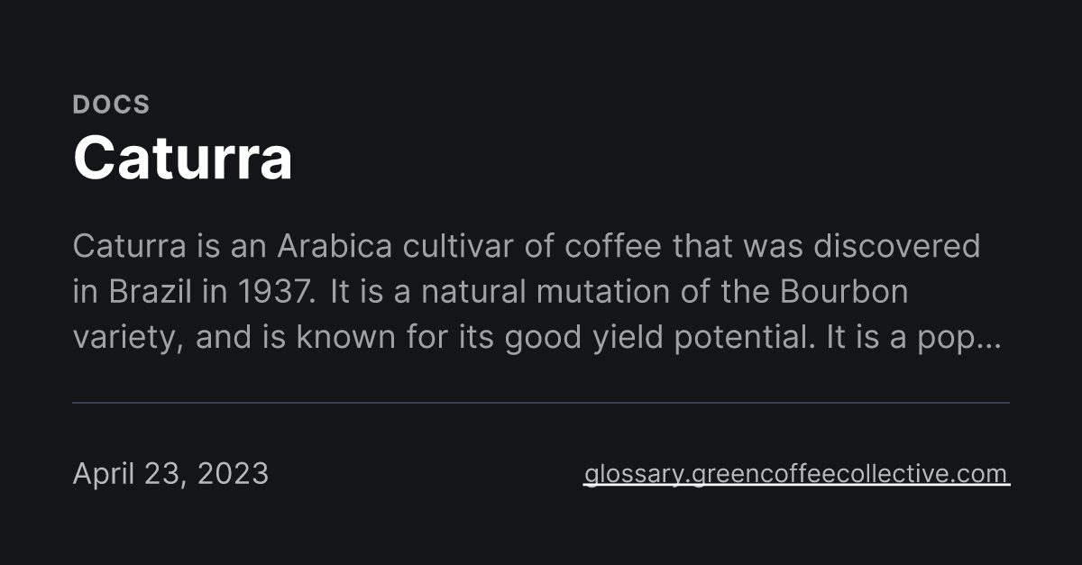 Caturra