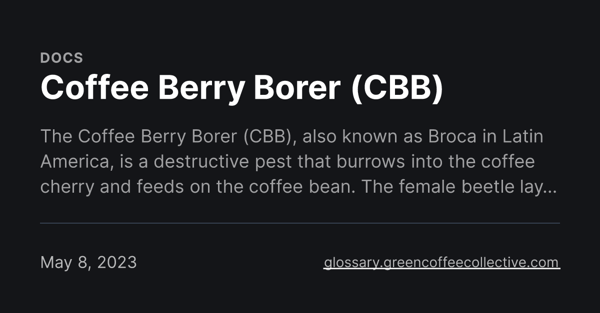 Coffee Berry Borer (CBB)